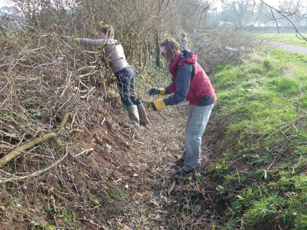 About Longrun Meadow – Longrun Meadow